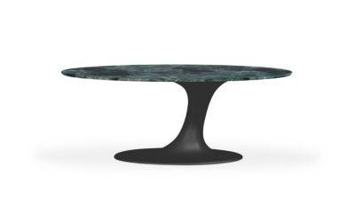 SPEED UP Mesa de comedor Ovale– Ancho 200 cm | Roche Bobois